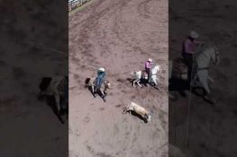 Rodeo Austin Champ Dylan Hancock On Big Win & Team Roping Breakup ...
