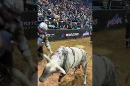 Clay Guiton rides American Made for 89.75 Points | PBR UTB Highlight ...